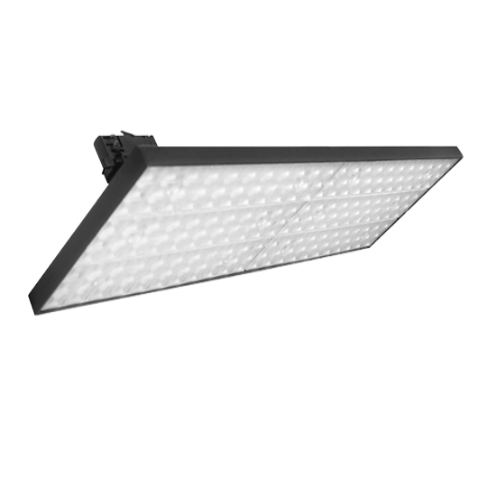 Illuminate your Space with Track Light - BREE Lighting Factory in China